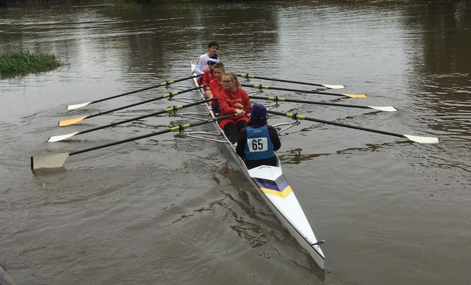 Rowing continues to link Bath and Alkmaar - Minerva Bath Rowing Club