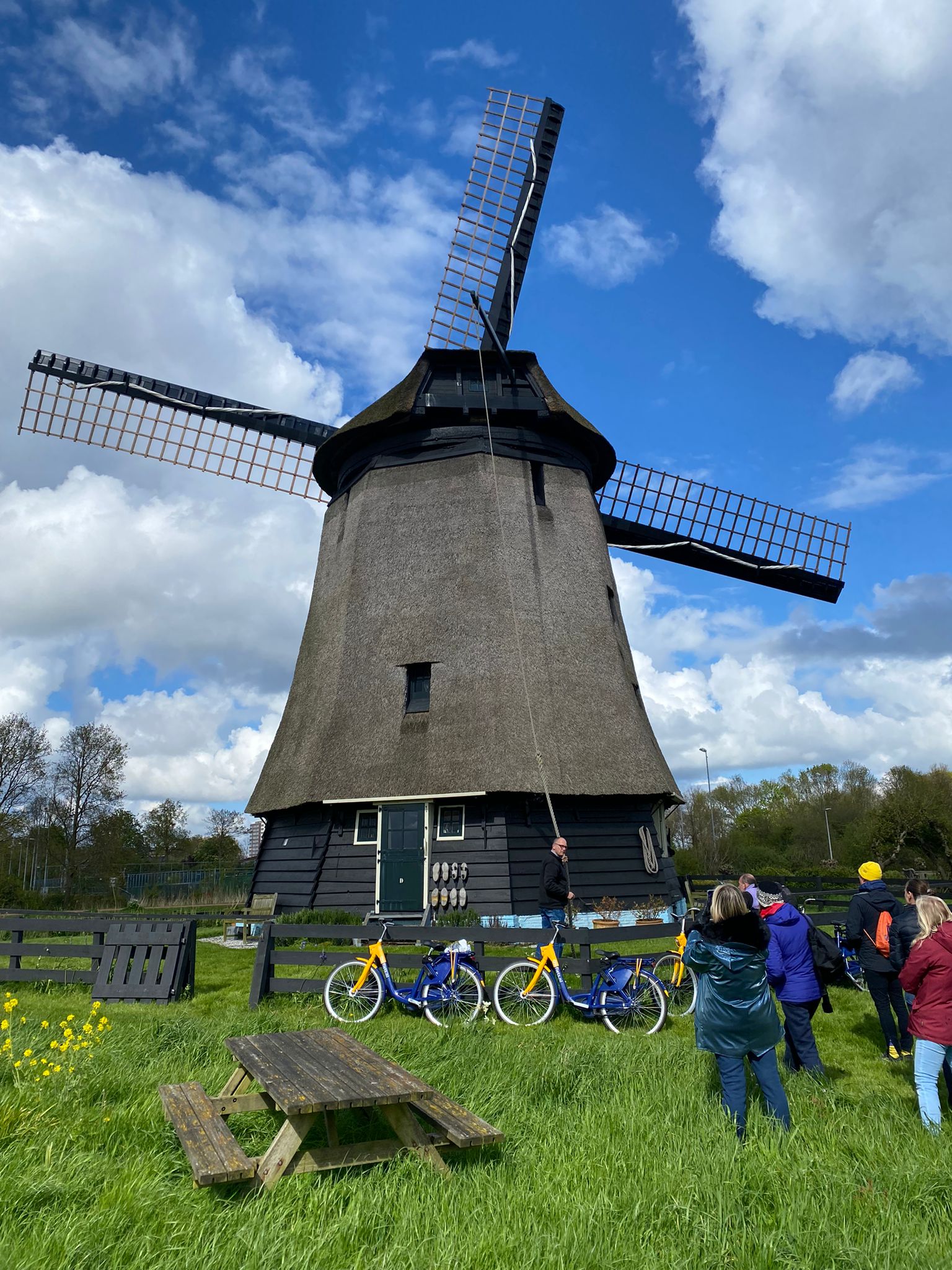 Alkmaar 2024 - what a blast! - Minerva Bath Rowing Club